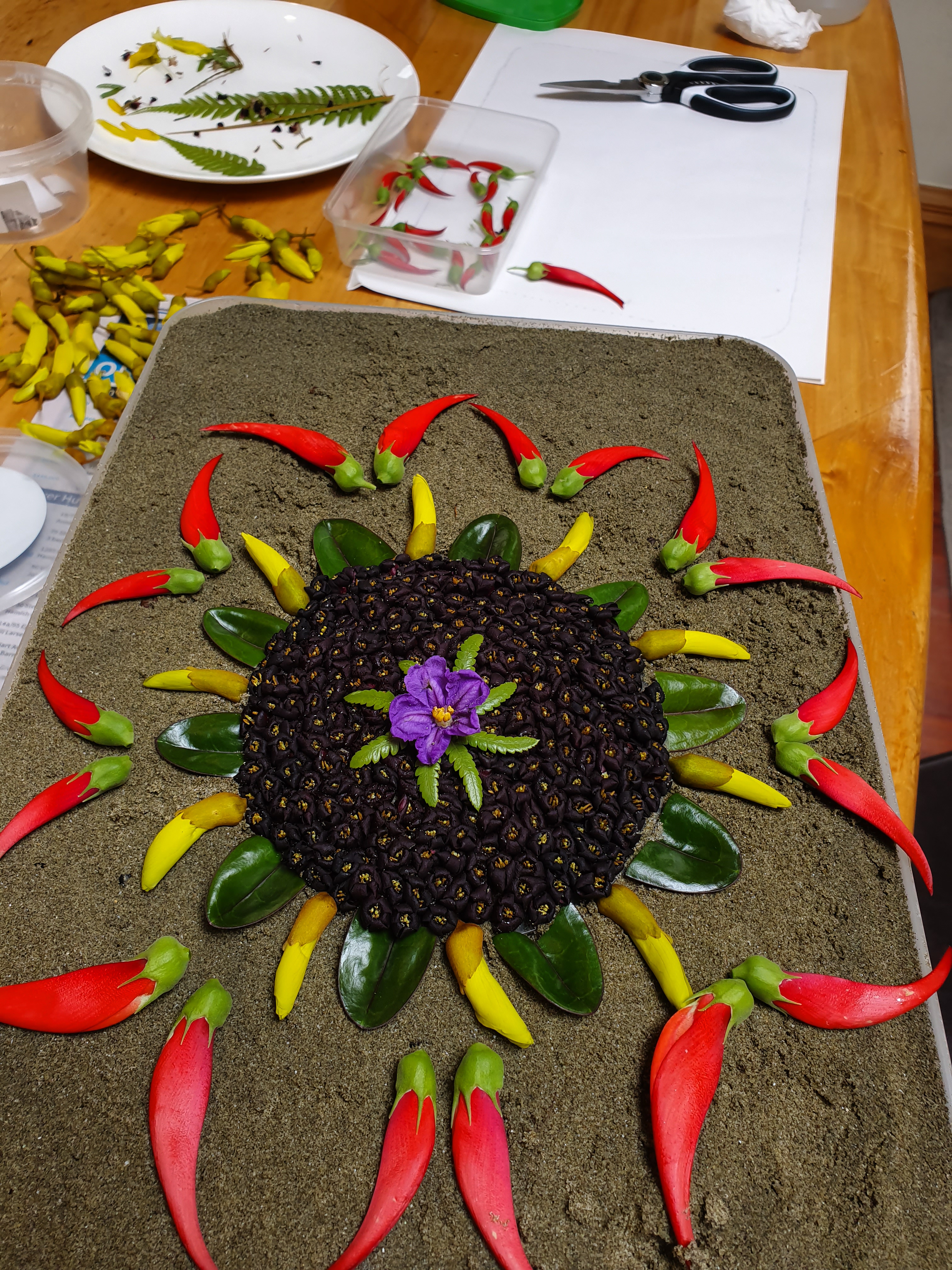 Red kakabeak – Plant Art NZ