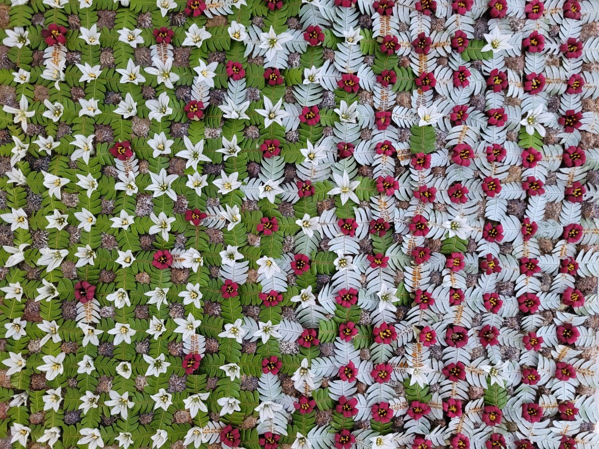 Abstract – Plant Art NZ