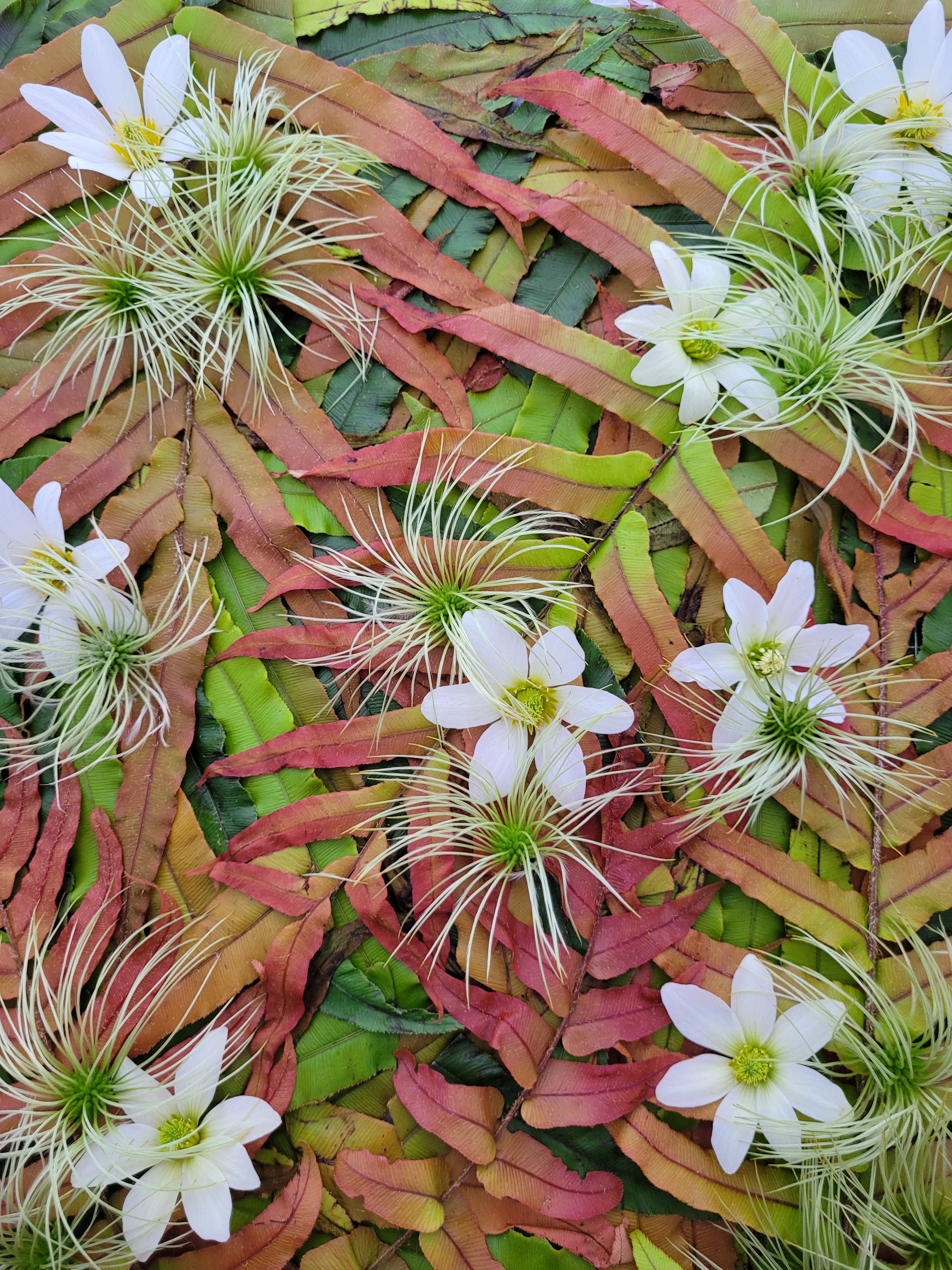 The art of subtle – Plant Art NZ